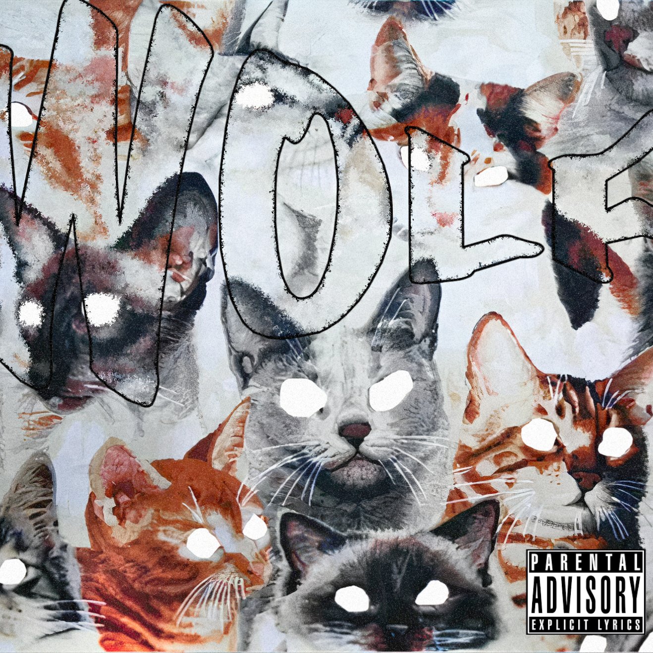 Tyler The Creator Wolf Deluxe Cover Art