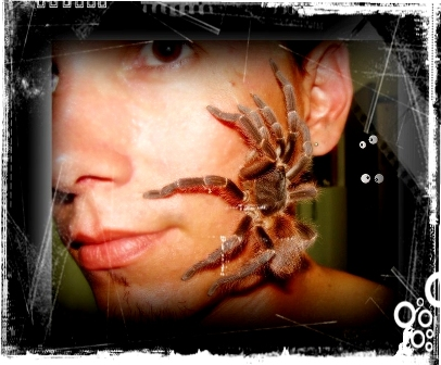 Felipe_Spider’s Music Profile | Last.fm