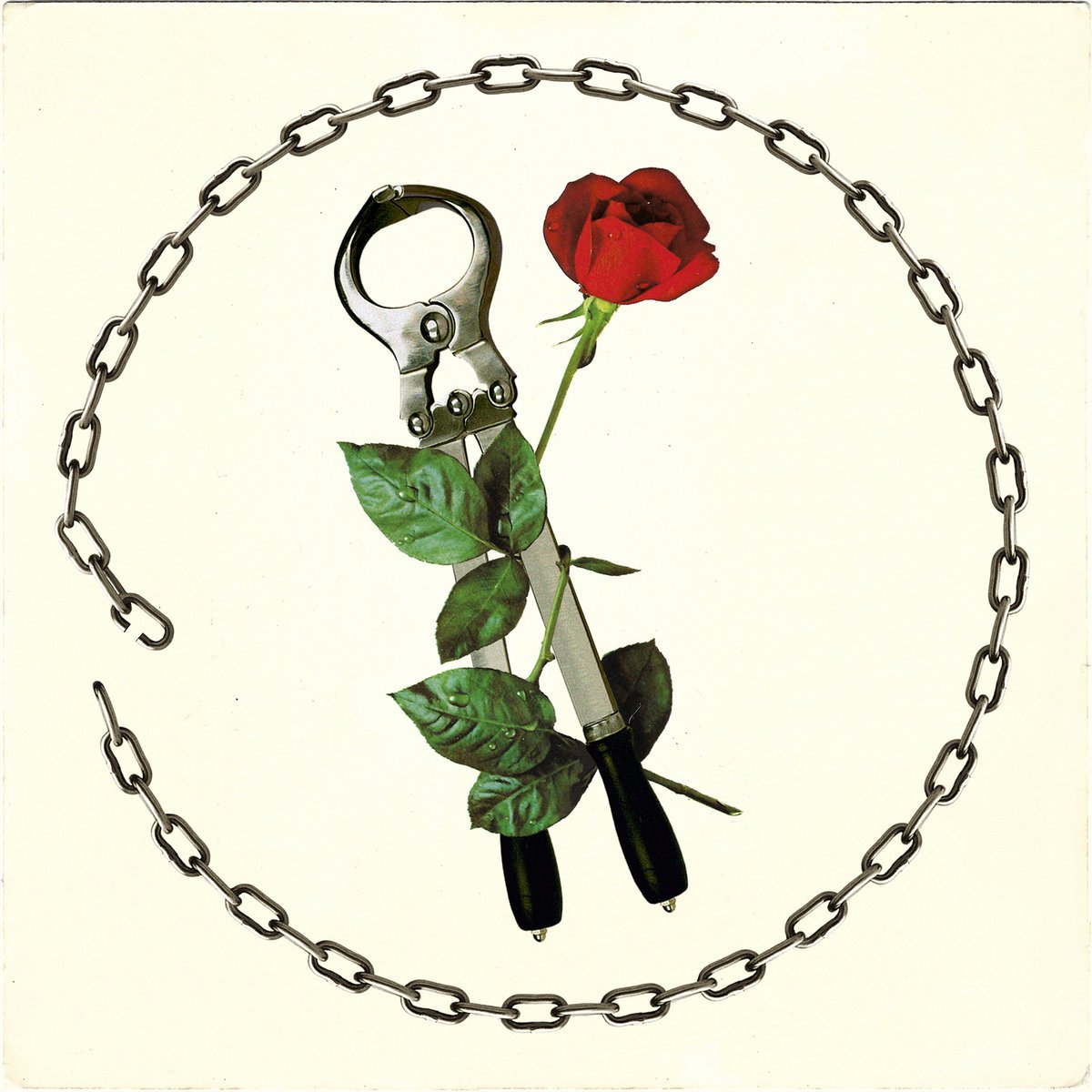 Parasite — Anatomy | Last.fm