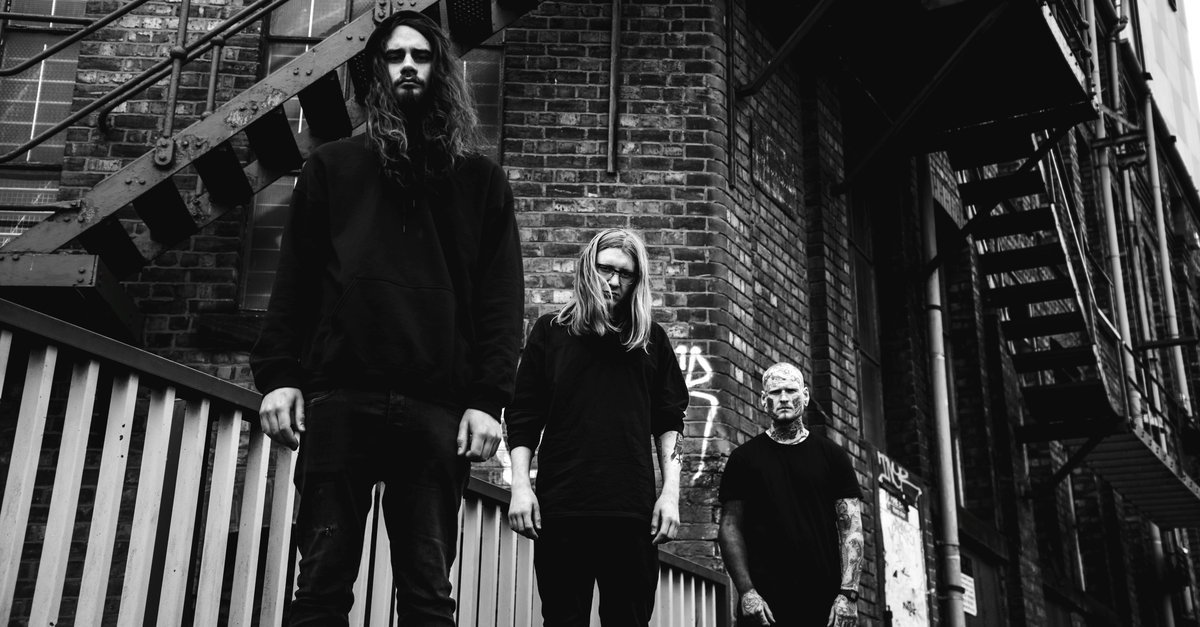 Leeched music, videos, stats, and photos | Last.fm