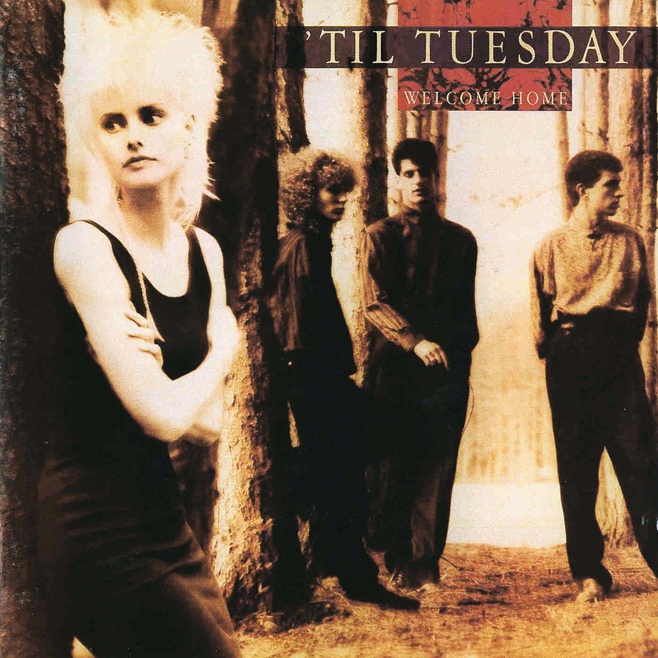 Welcome Home — 'Til Tuesday | Last.fm