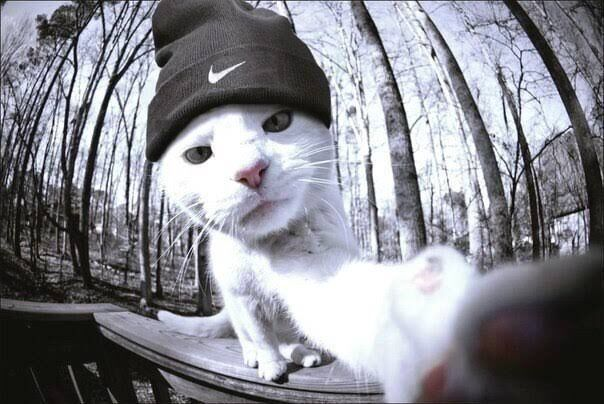 scopicel's Library | Last.fm