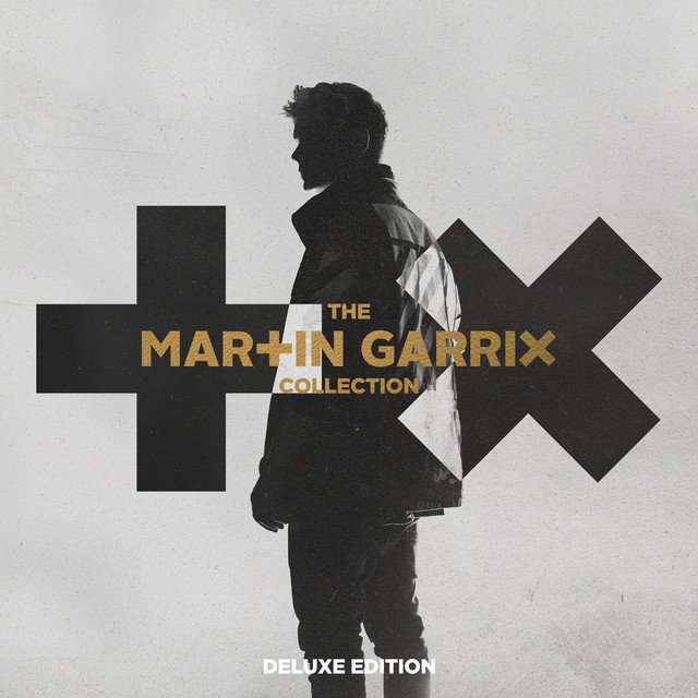 Wizard Martin Garrix Album Cover