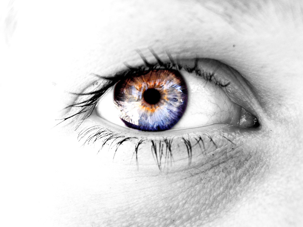 pichote’s Music Profile | Last.fm