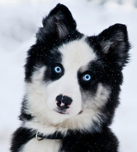 epic_triangle’s Music Profile | Last.fm