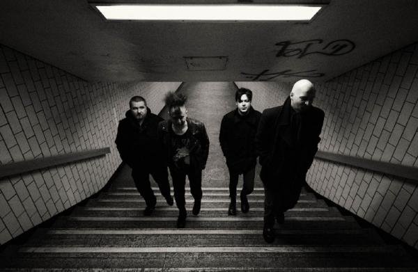 Lotus Feed music, videos, stats, and photos | Last.fm