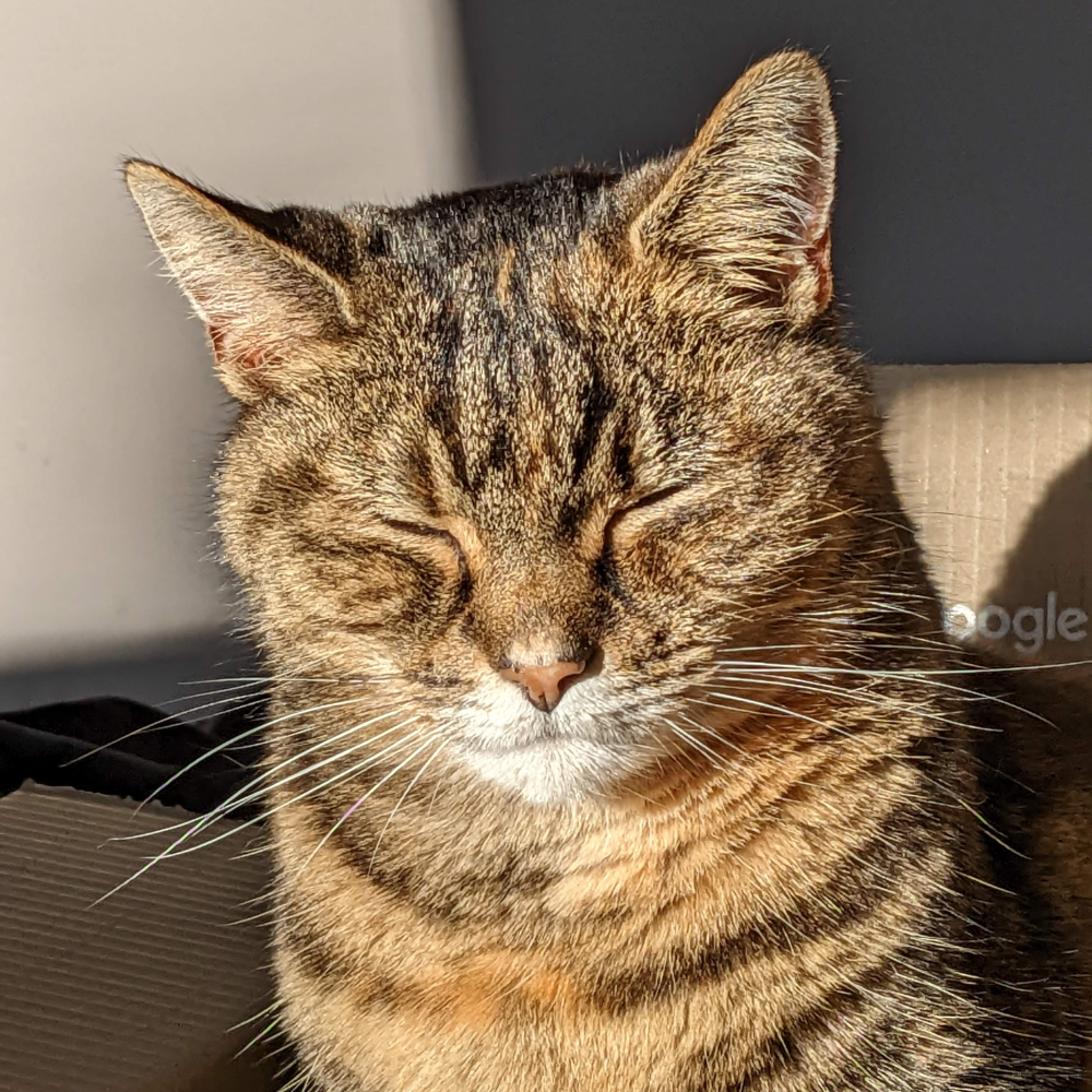 felixyates’s Music Profile | Last.fm