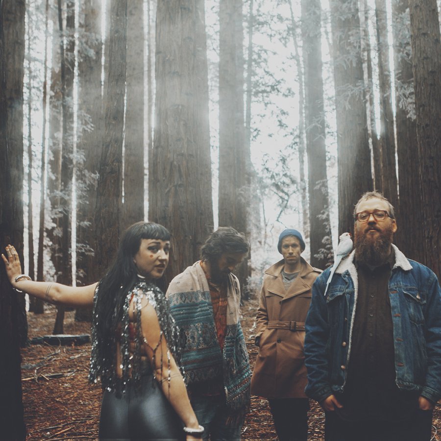 Hiatus Kaiyote music, videos, stats, and photos | Last.fm