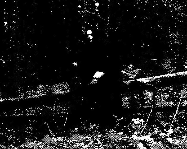 Músicas, vídeos, estatísticas e fotos de Strid | Last.fm