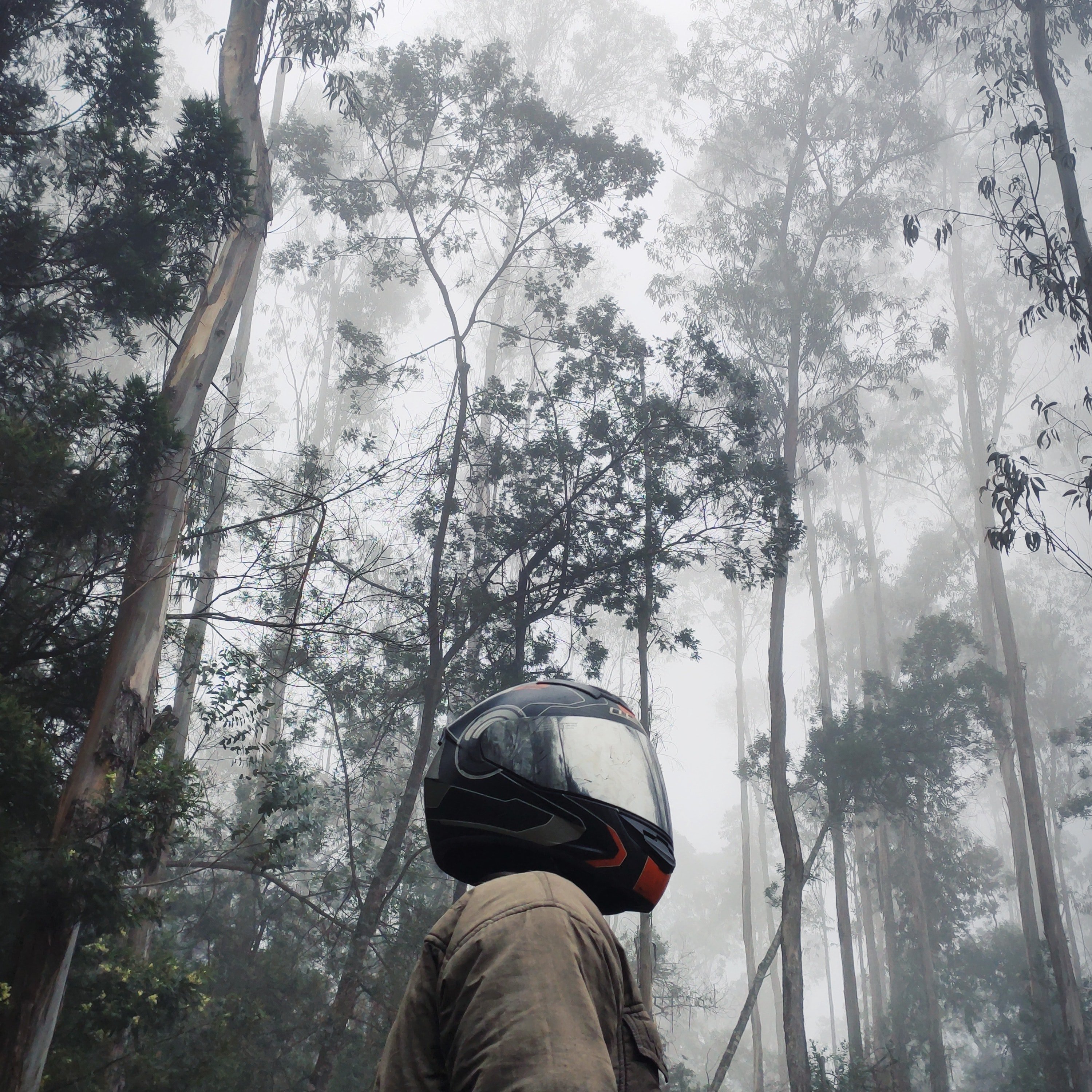 Inert music, videos, stats, and photos | Last.fm