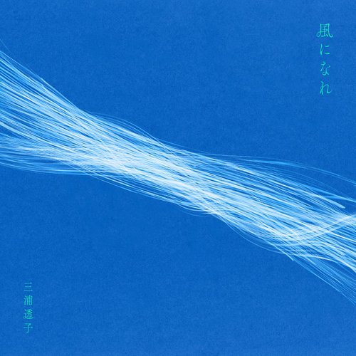 音楽で振り返る Shiroi_Inu さんの一年 | Last.fm