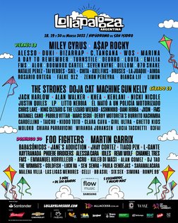 Lollapalooza argentina store