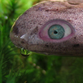 hhyyy’s Music Profile | Last.fm