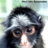 rtyuiopa’s Music Profile | Last.fm