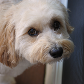 Michael_gray4’s Library | Last.fm