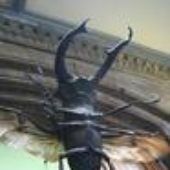 iioii’s Music Profile | Last.fm