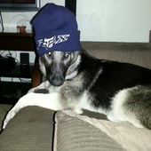 lit_ty’s Music Profile | Last.fm