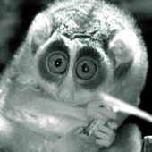 Kalissa’s Music Profile | Last.fm