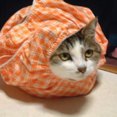 ozero_rgfx’s Music Profile | Last.fm