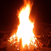 Bu40’s Music Profile | Last.fm