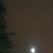 john_sample’s Music Profile | Last.fm