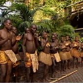 Aka Pygmies music, videos, stats, and photos | Last.fm